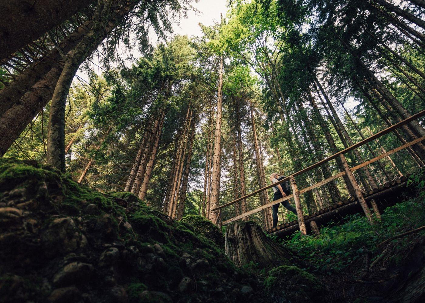Hotel im Allgäu - Torghele’s Wald + Fluh